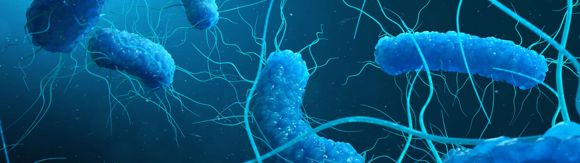 Legionellen-Untersuchung | IeS